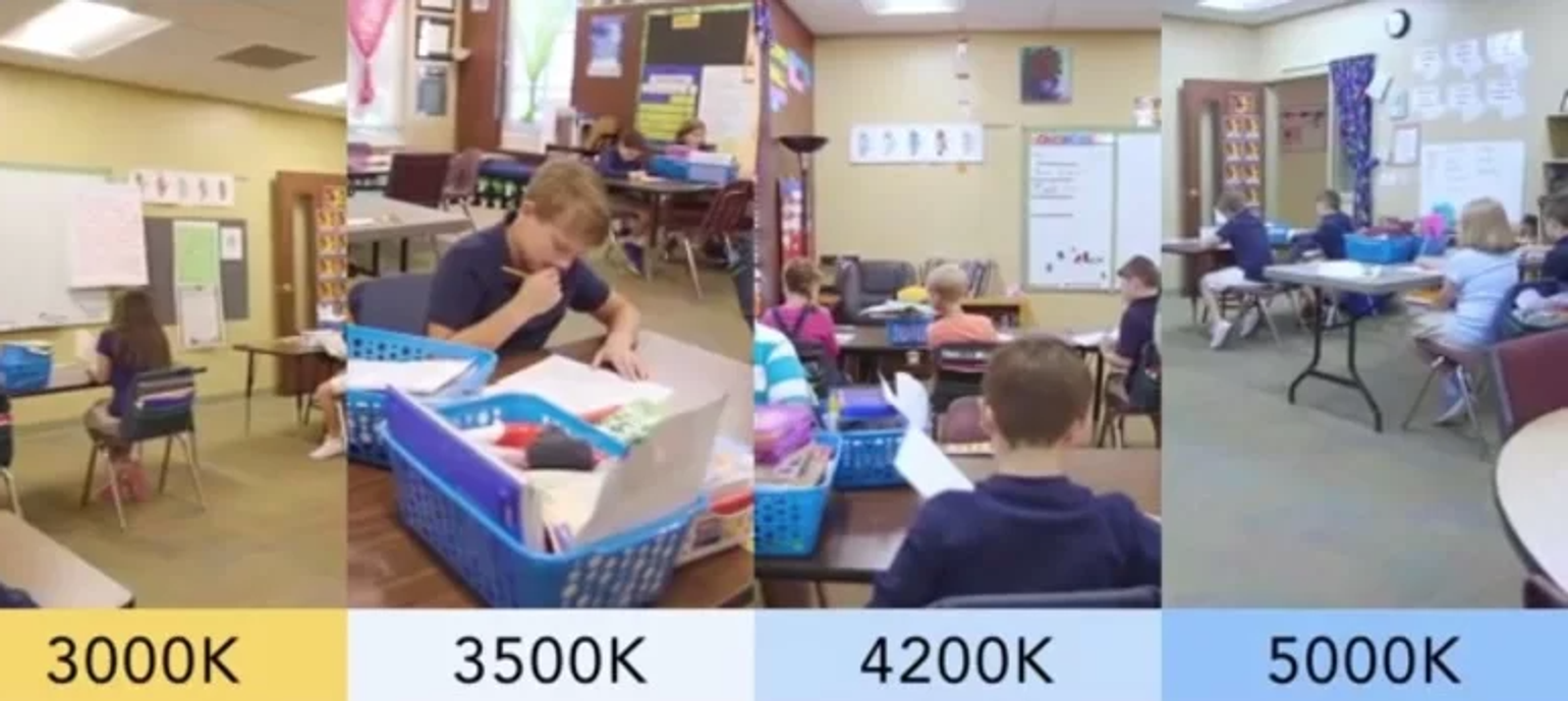 Classroom Lighting: The Comprehensive Guide - China Commercial LED ...